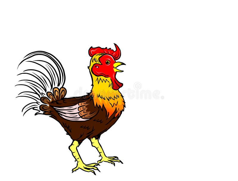 Rooster Drawing Isolated White Background Stock Vector - Illustration ...