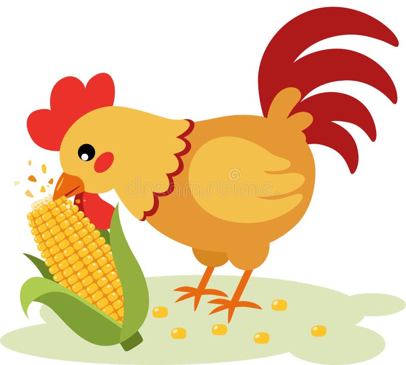 Rooster Eating a Cob of Sweet Corn Stock Illustration - Illustration of ...
