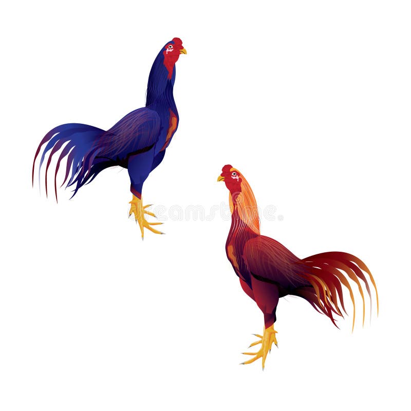 Stylized Chickens - Vector Illustration Stock Vector - Illustration of ...