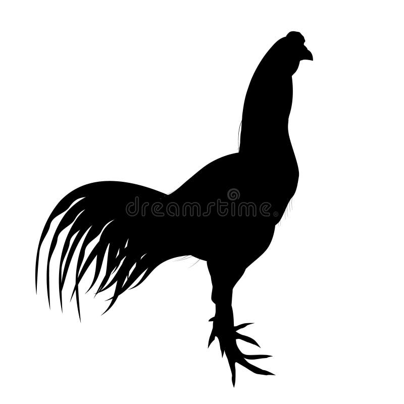 Gamecock Stock Illustrations – 256 Gamecock Stock Illustrations ...
