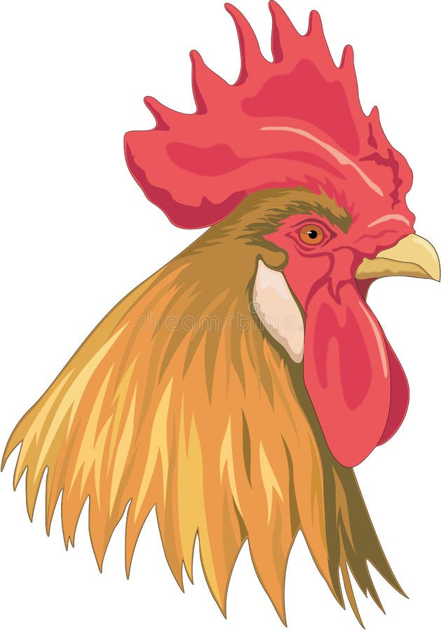 Rooster Head Illustration stock vector. Illustration of fowl - 133909128