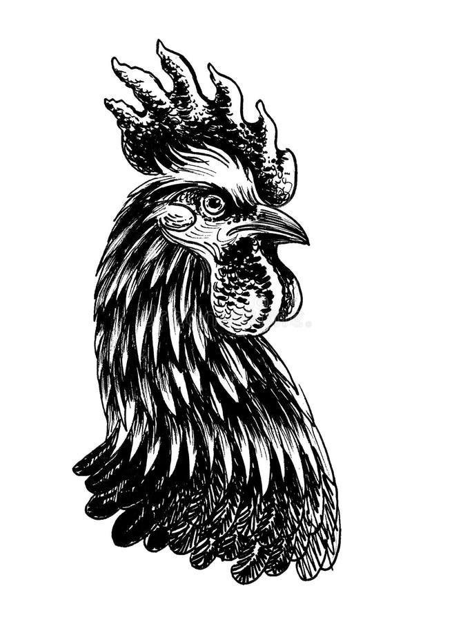Rooster head stock illustration. Illustration of artwork - 242076437