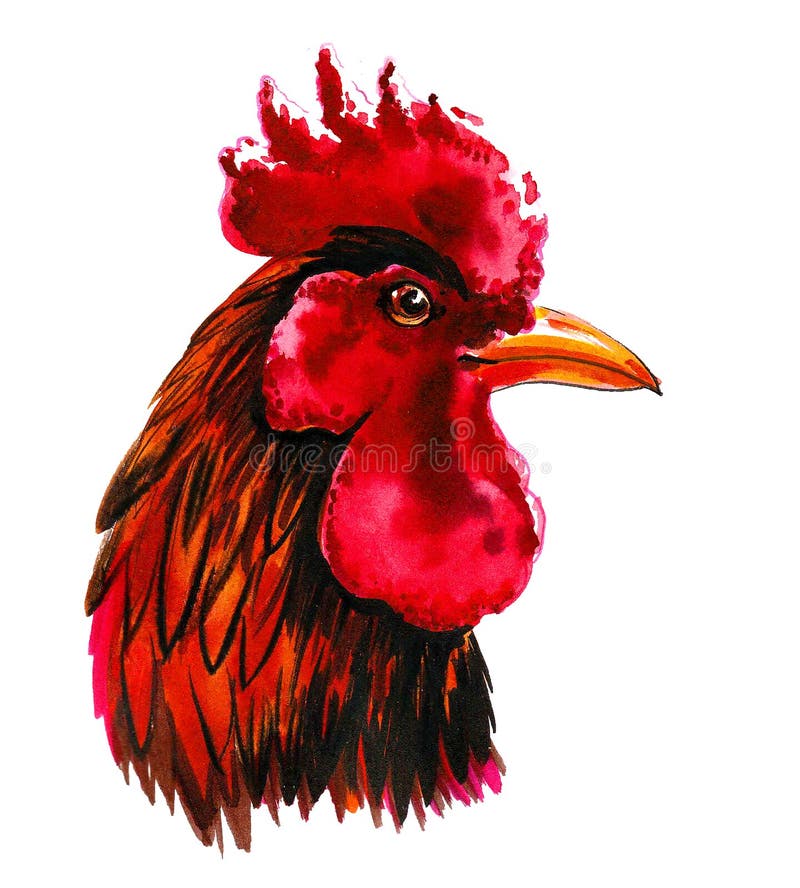 Rooster head stock illustration. Illustration of bird - 231585326