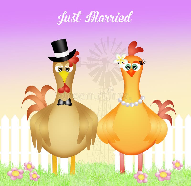 Rooster and hen in love stock illustration. Illustration of nature ...