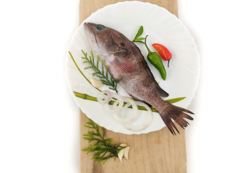 Rooster Hind Grouper or Pink Grouper Decorated on a White Plate ...