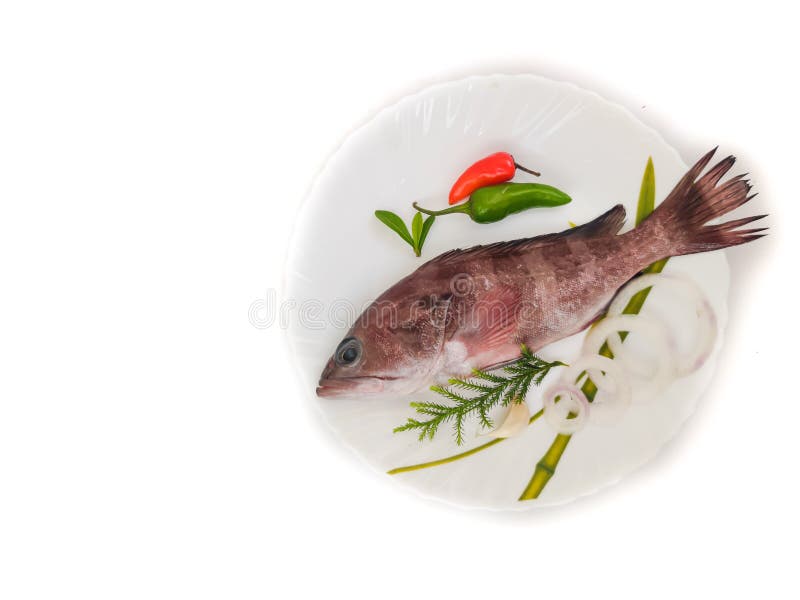 Rooster Hind Grouper or Pink Grouper Decorated on a White Plate ...