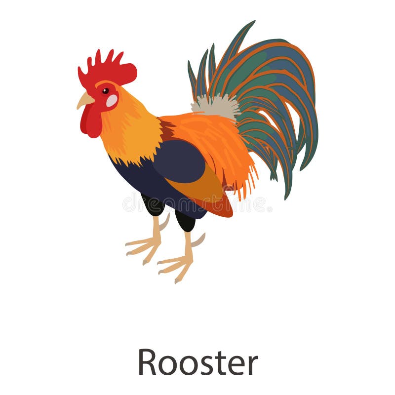 Rooster Icon, Isometric Style Stock Vector - Illustration of vector ...