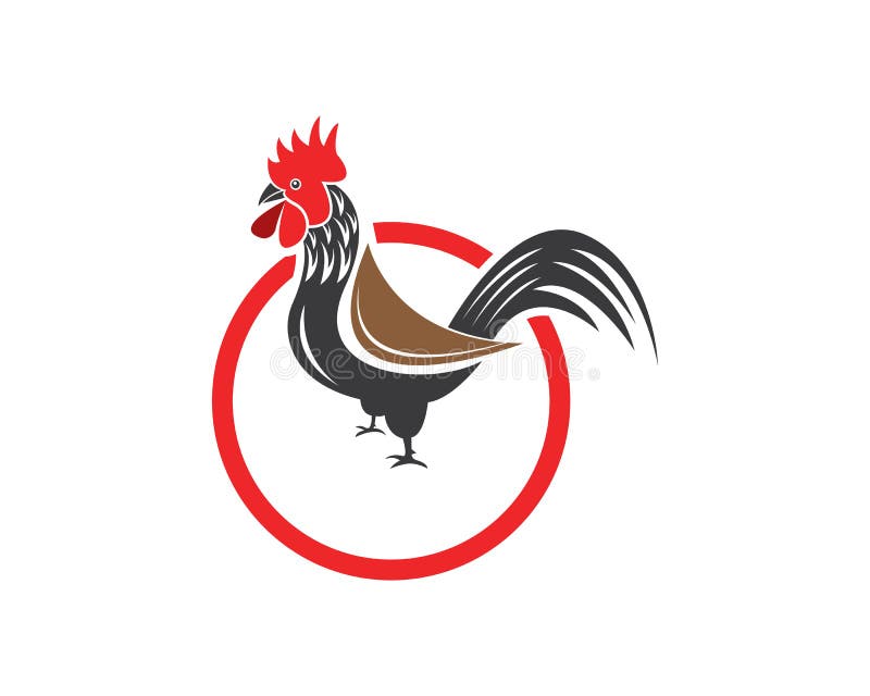 Rooster Icon and Symbol Template Illustration Stock Vector ...