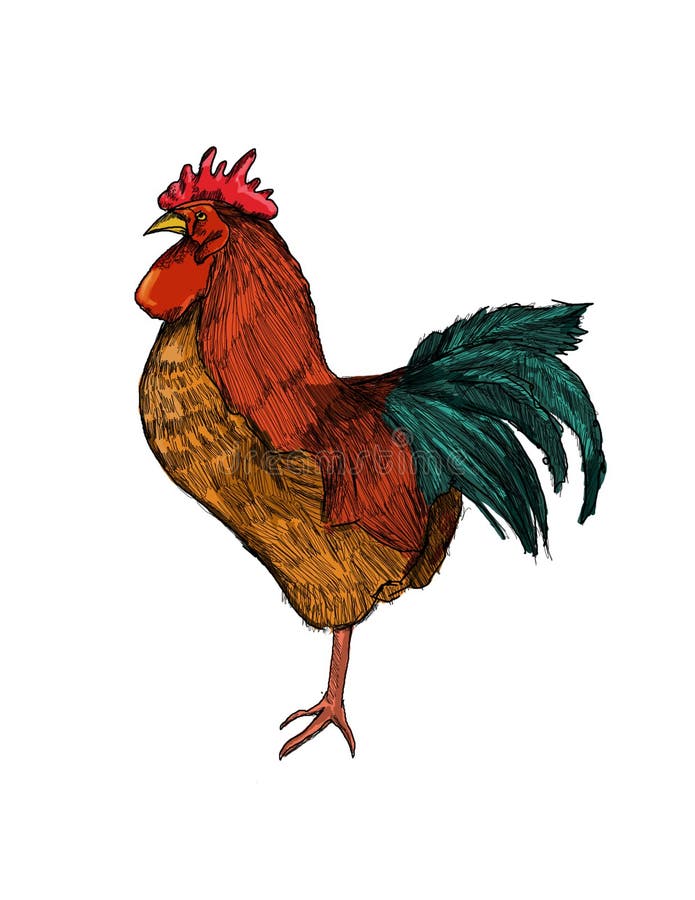 Rooster Running stock illustration. Illustration of digital - 49760590
