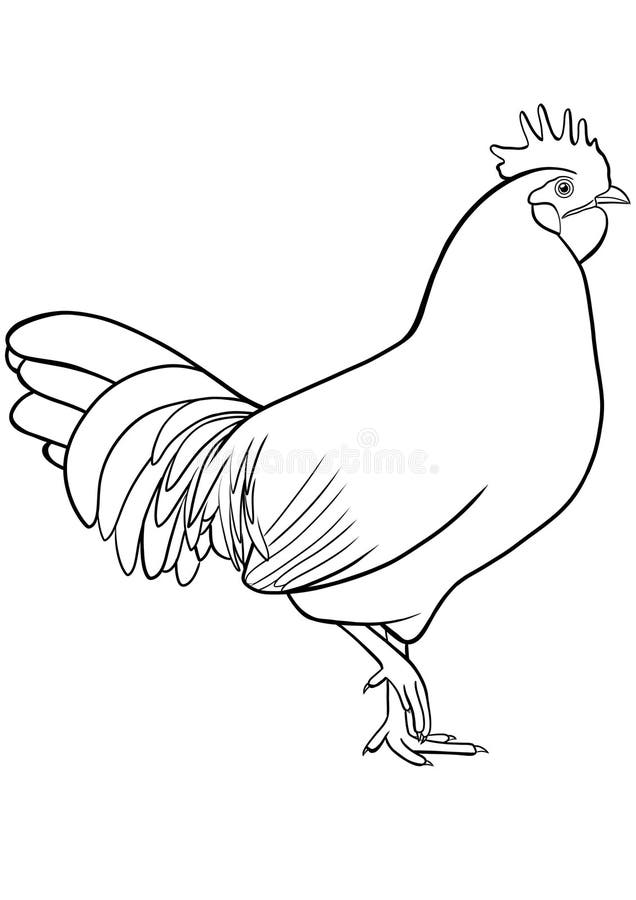 Rooster One Line Drawing Vector. Minimalism Design of Animal ...