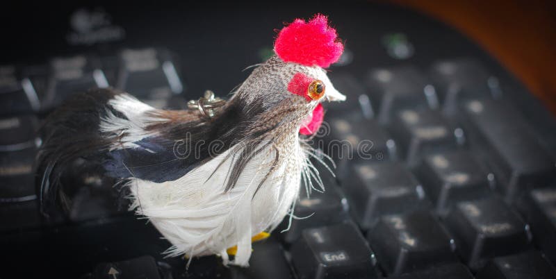 Rooster with Red Comb on the Computer Keyboard Stock Photo - Image of ...