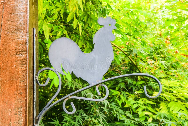 A rooster stock image. Image of rooster, shape, sheet - 75566269