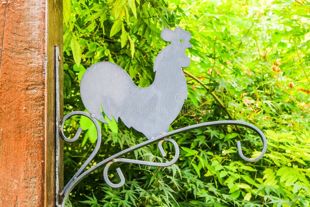 A rooster stock image. Image of rooster, shape, sheet - 75566269