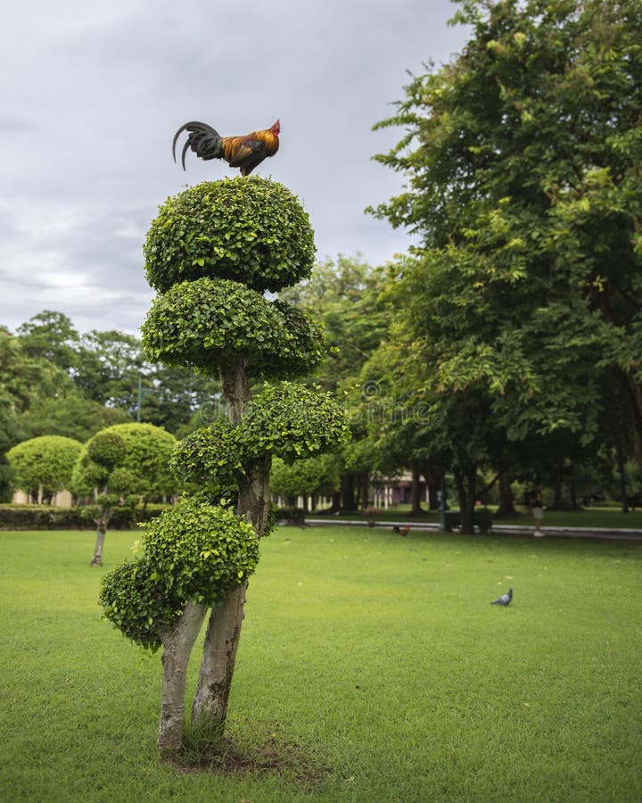 The rooster stock image. Image of sculpture, garden, grass - 43665515