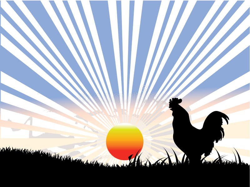 Rooster at sunset stock vector. Illustration of sunset - 3080358