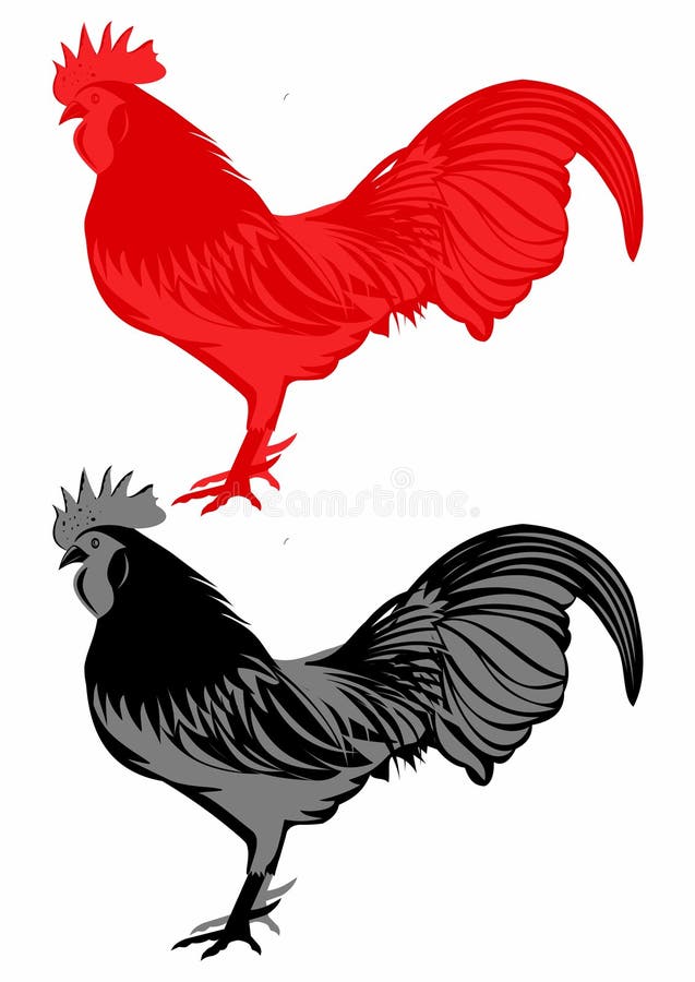 Rooster vector stock vector. Illustration of vector, rooster - 79342855
