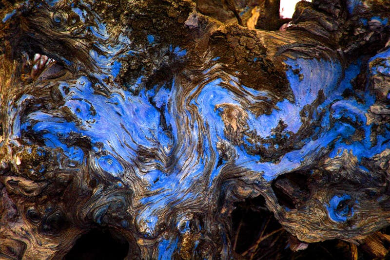 Root Ball Abstract Art stock illustration. Illustration of burn - 3795827