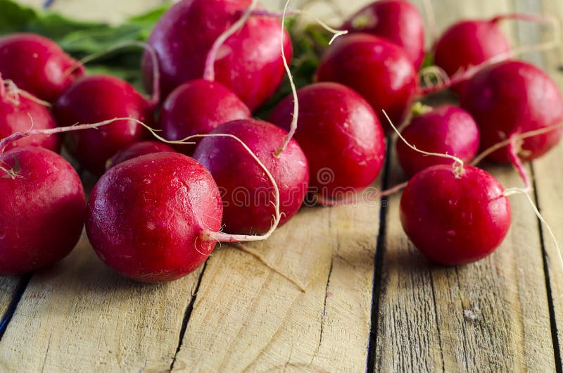 The Root Crops of Radishes on a Wooden Table Stock Image - Image of ...