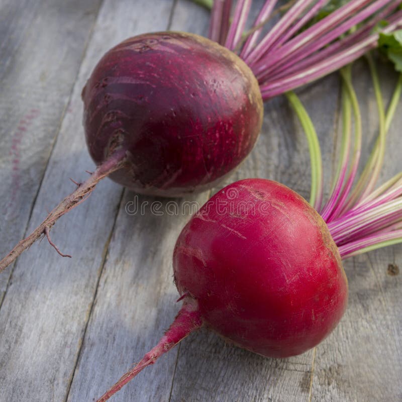 Root Crops of Two Varieties of Beets on a Wooden Old Table Stock Photo ...