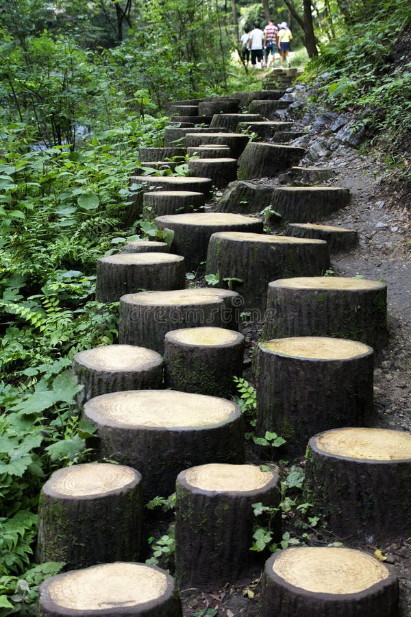 Root decoration and path stock image. Image of luoyang - 79506787