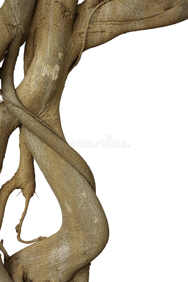 Inflated Lines Stock Illustrations – 72 Inflated Lines Stock ...