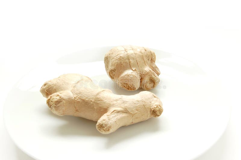 Root of ginger stock image. Image of cooking, ingredient - 1859529