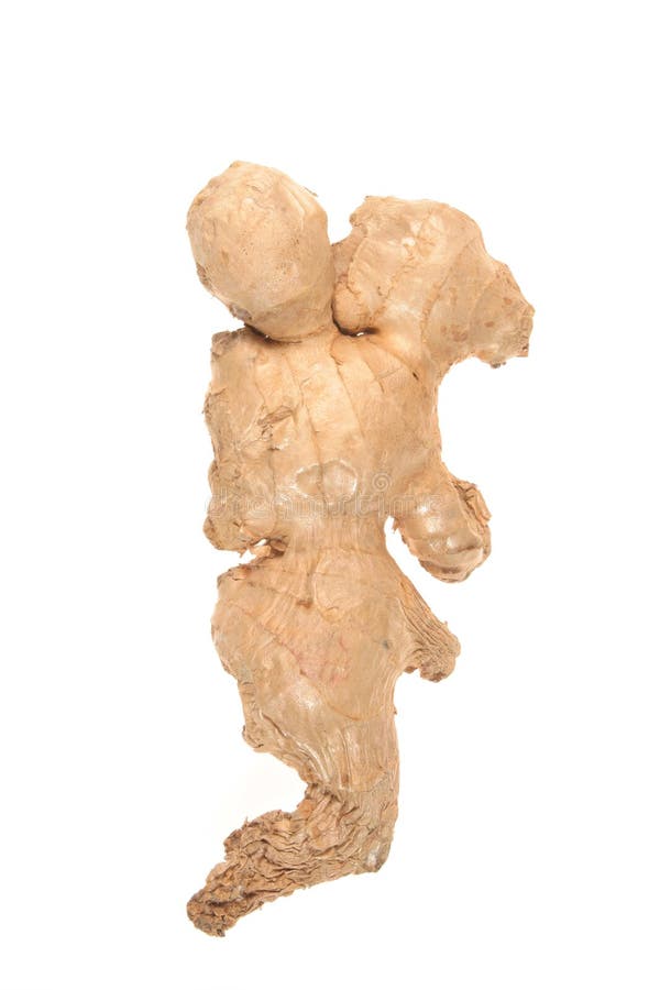 Root ginger figure stock photo. Image of flavoring, vegetable - 5180806