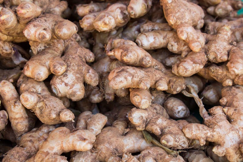 Root ginger stock photo. Image of golden, curry, food - 36456386