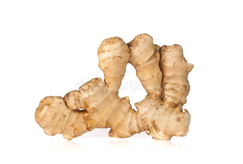 Ginger (Zingiber Officinale Roscoe) Rhizome 2022 Stock Image - Image of ...