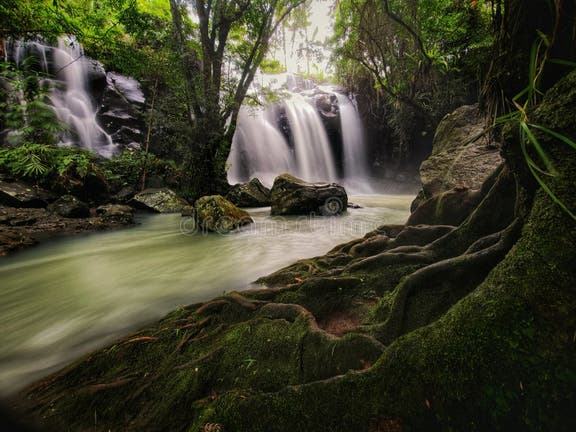 In between the Root of Hugh Tree Stock Image - Image of waterfal, rock ...