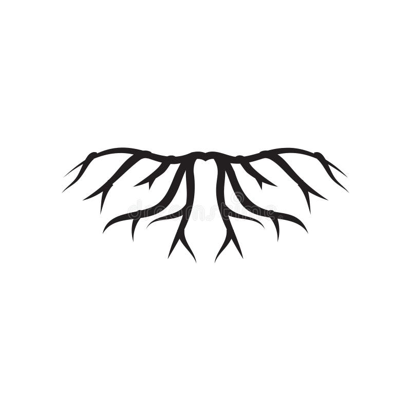 Root Icon Design Template Vecor Isolated Illustration Stock Vector ...