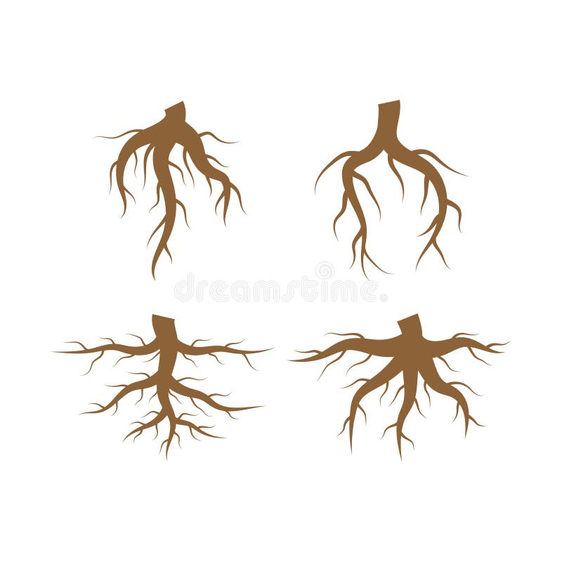 Root Icon Set Design Illustration Vector Template Stock Vector ...