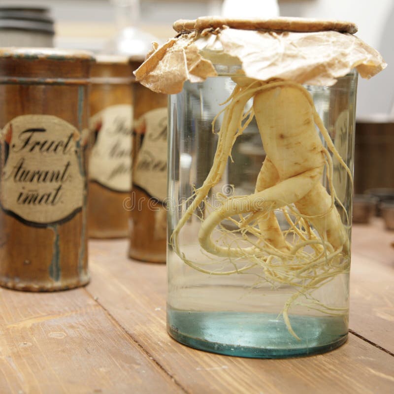 Root in jar stock photo. Image of growth, cure, glass - 3606726