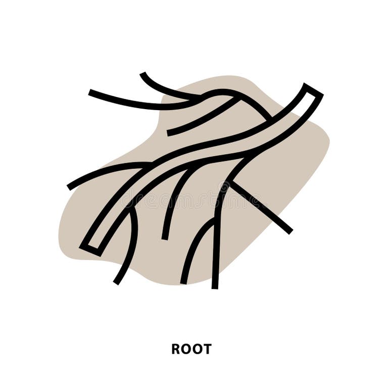 Root Linear Icon Design for Application or Web Design Template. Vector ...