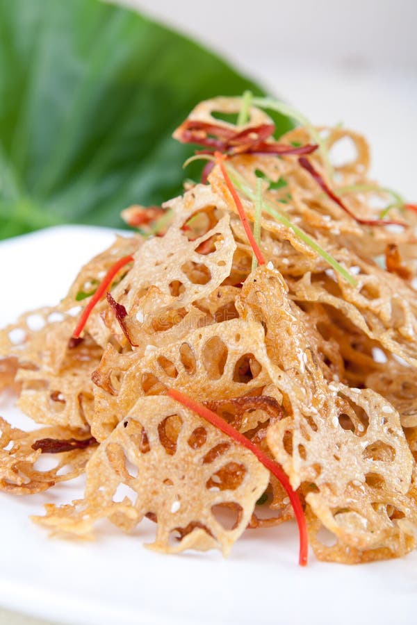 Root of lotus stock image. Image of appetizer, meal, cuisine - 18879199