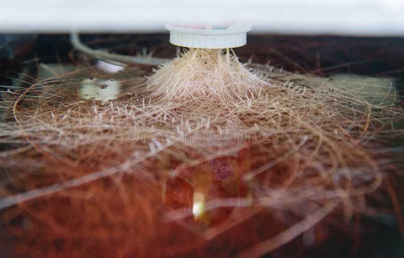 Root of Melon Tree in the Water Bin of Hydroponics System Stock Image ...
