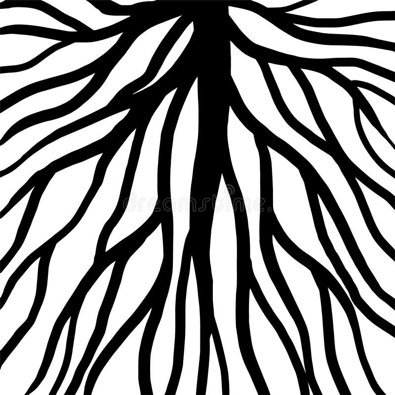 Root Patterns Stock Illustrations – 366 Root Patterns Stock ...