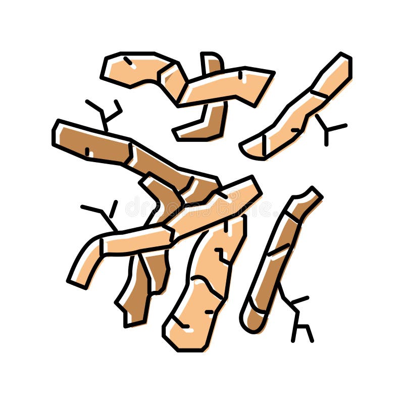 Licorice Root Icon Plant Stock Illustrations – 164 Licorice Root Icon ...