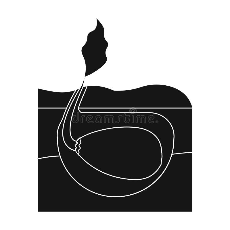 Root, Single Icon in Black Style .Root Vector Symbol Stock Illustration ...