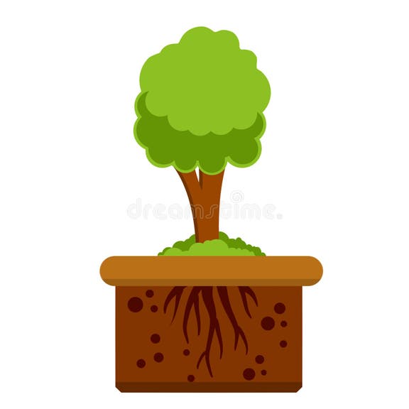 Underground Tree Root System Forest Stock Illustrations – 148 ...