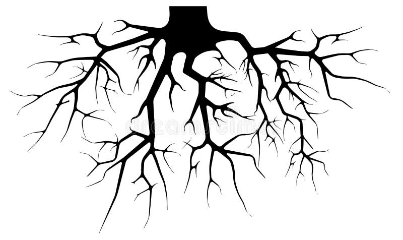 Root of Tree. Black Root System Silhouette - Vector Illustration for ...