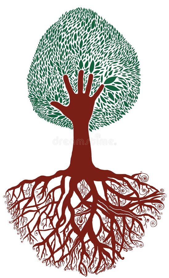 Root tree stock illustration. Illustration of tree, branch - 71438666