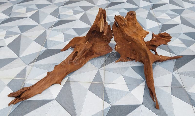 Root tree fosil stock photo. Image of design, branch - 271590452