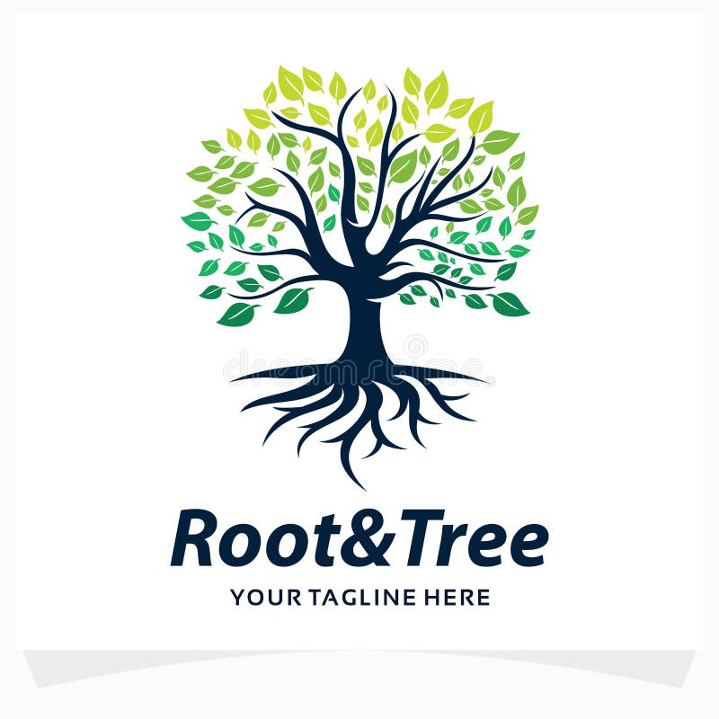 Root and Tree Logo Design Template Stock Vector - Illustration of ...