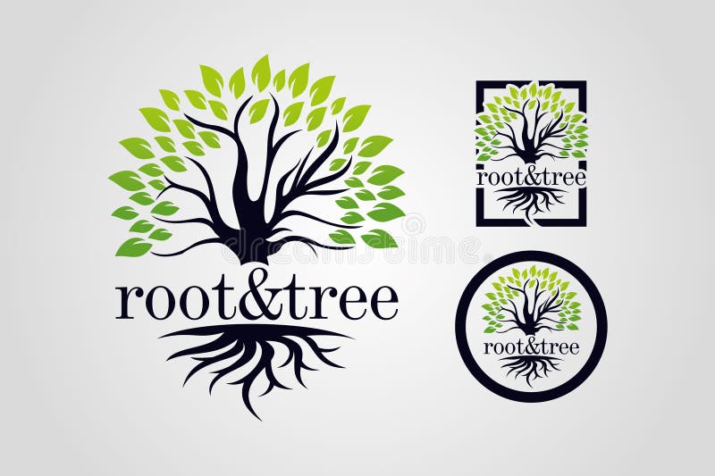 Root System Logo Stock Illustrations – 573 Root System Logo Stock ...