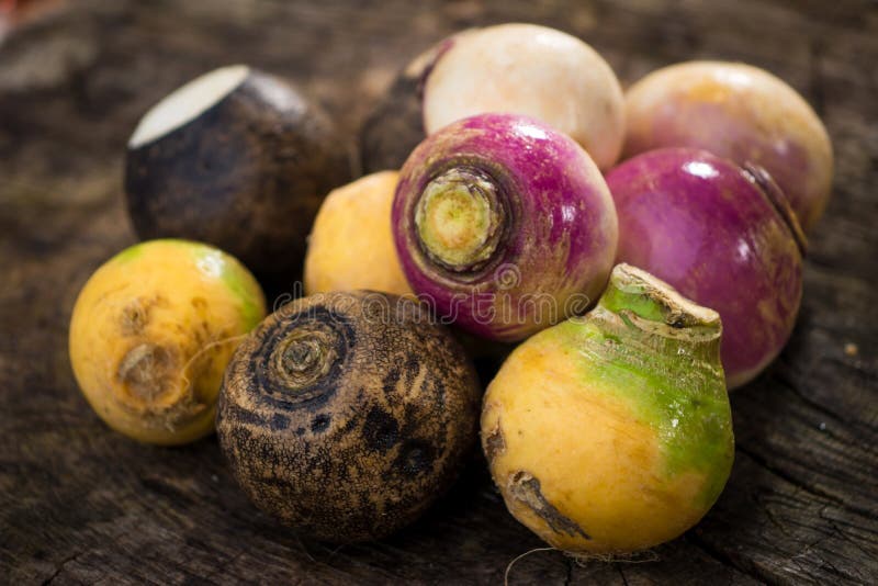 Root tuber stock photo. Image of aliment, root, artichoke - 27349830