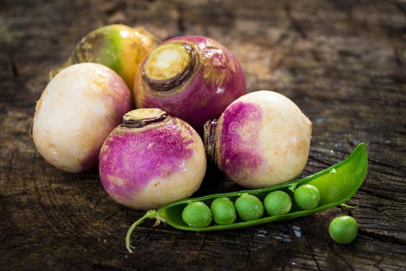 Root tuber stock photo. Image of aliment, root, artichoke - 27349830