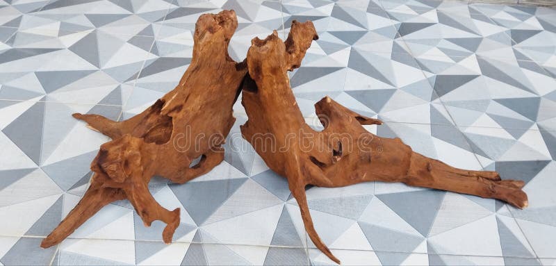 Root ulin fosil stock image. Image of sculpture, ulin - 271589937