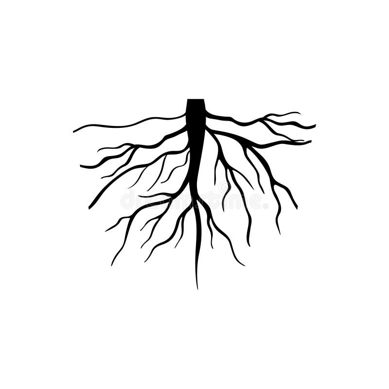 Root Vector Icon Set. Tree Illustration Sign Collection. Herbs Symbol ...