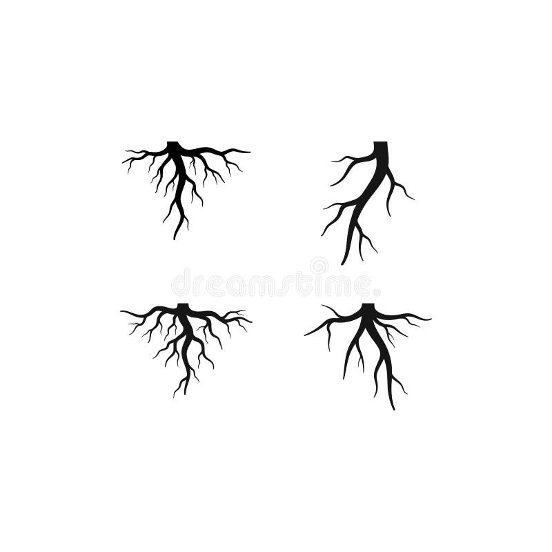 Root Vector Illustration Template Stock Vector - Illustration of green ...